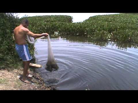 Pescaria na Lagoa do Vigário em Campos dos Goytacazes. - YouTube
