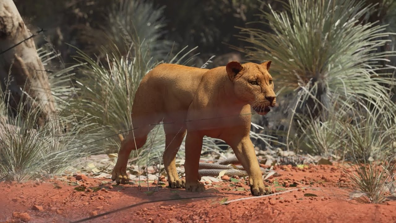 Creature Animation Showreel 2024 - YouTube