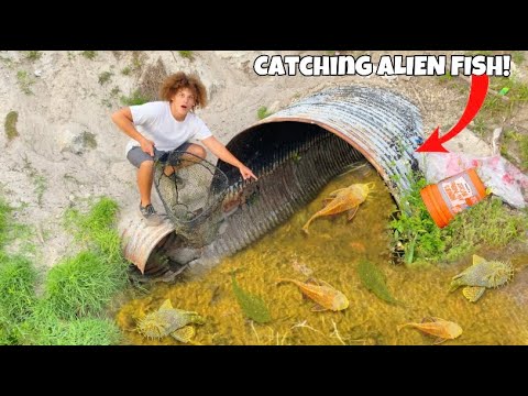 I Caught ALIEN FISH In HIDDEN TUNNEL! - YouTube