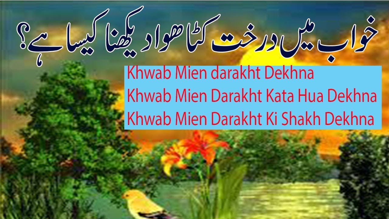 Khwab Mein Darakht Dekhna Ki Tabeer | Khwab Mien Darakht Kata Dekhna ...