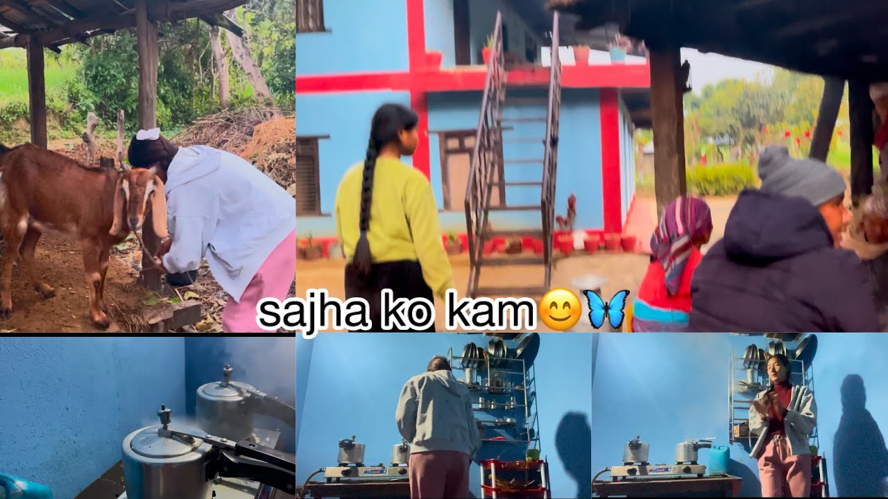 pasal dekhi gayerw ghar ko kam gardai belka ma🙏🏽💗😊Gaule jiban - YouTube