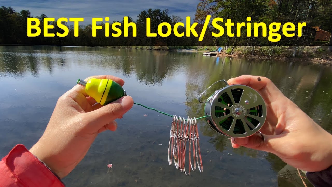 The BEST Fish Lock/Stringer (with Float & Reel) - YouTube