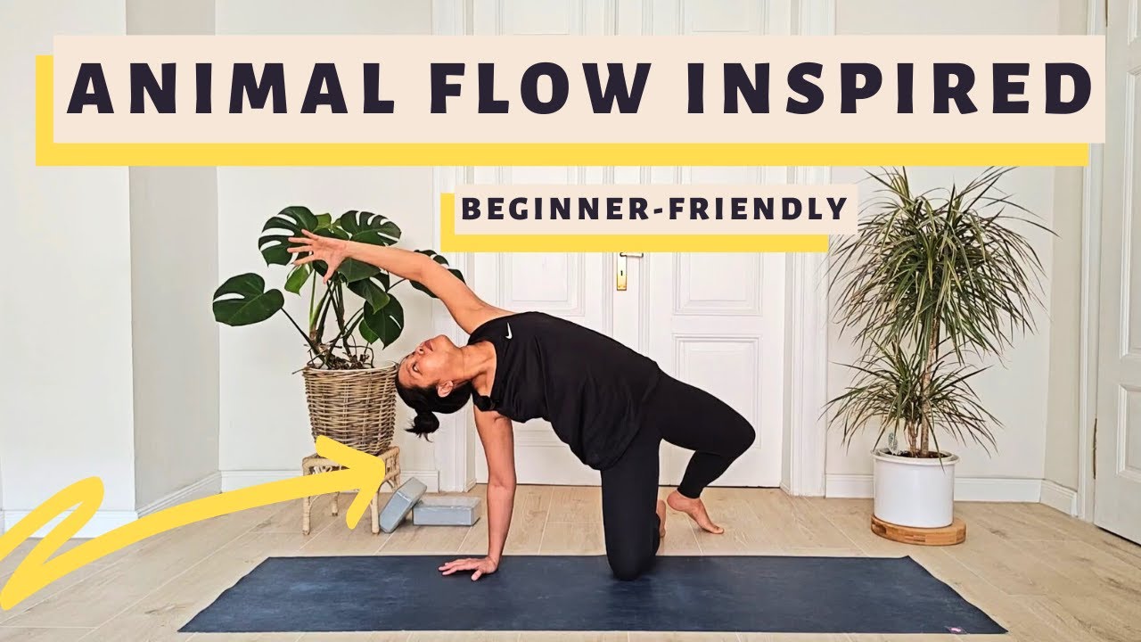 Beginner Animal Flow Yoga | Whole Body Stretch | 10-Minutes - YouTube