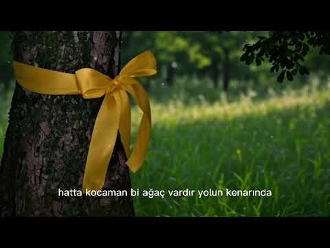 Sarı Kurdele: Hapisteki Adamın Duygusal Hikayesi ve Aşkın Gücü.#duygusalhikaye #gerçekhikaye #hikaye