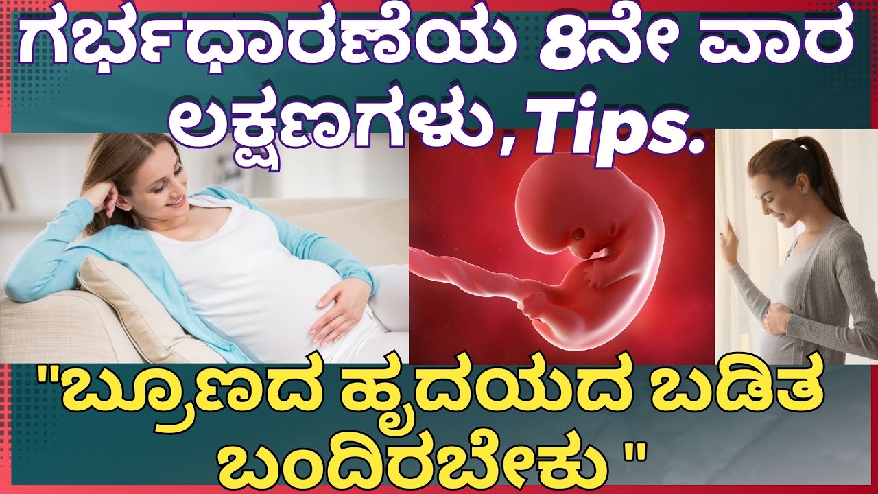 8th Weeks of Pregnancy: Baby Development, Signs & Symptoms - YouTube