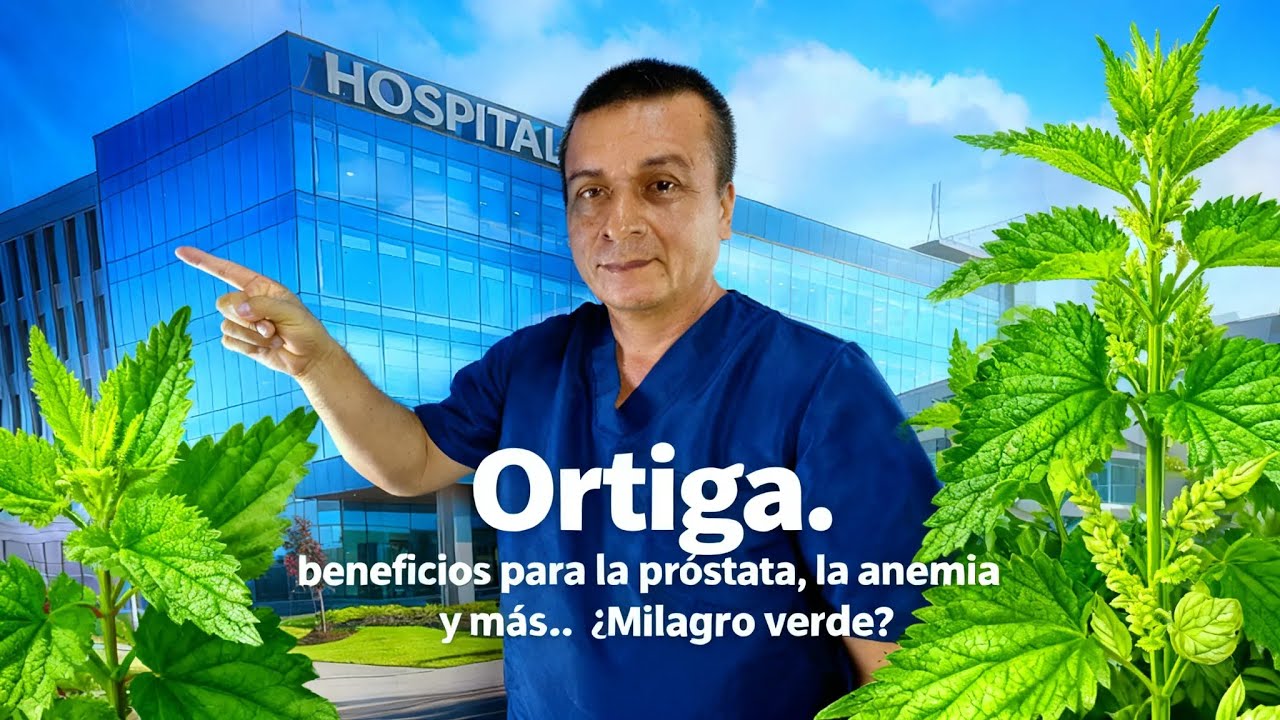 Ortiga para la próstata, la anemia y más… ¿Milagro verde? - YouTube
