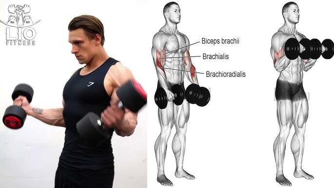 14 Ejercicios Con Mancuernas Que Puedes Hacer En Casa 14, 49% OFF