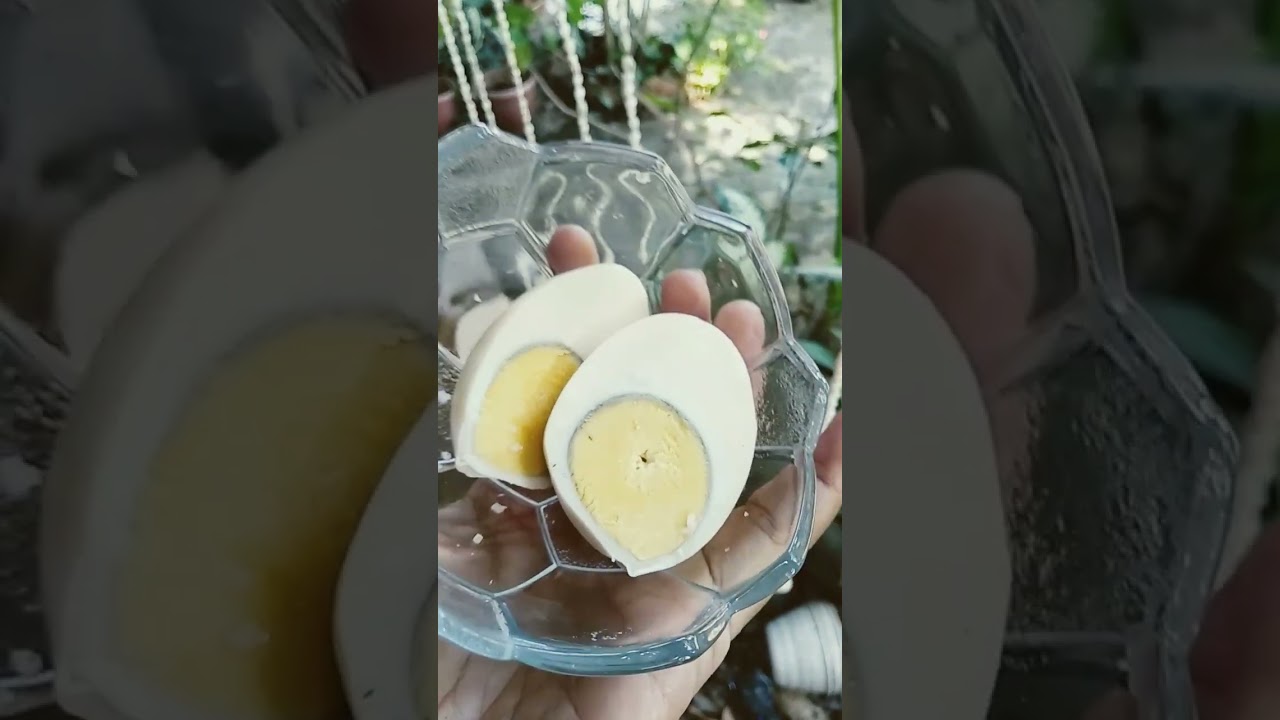 telur = egg. putih = white. kuning = yellow. putih telur = egg whites ...