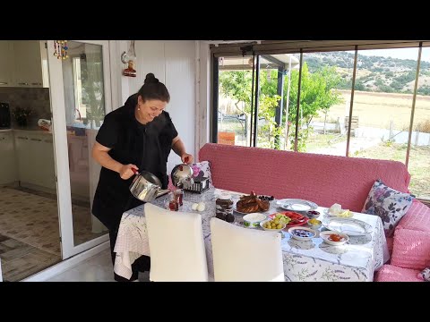 Bunca Emeğimiz Boşamı Gidecek? Bahçedeki Son Durum 😔