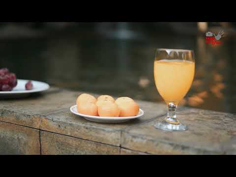 Bikinis in the swimming pool