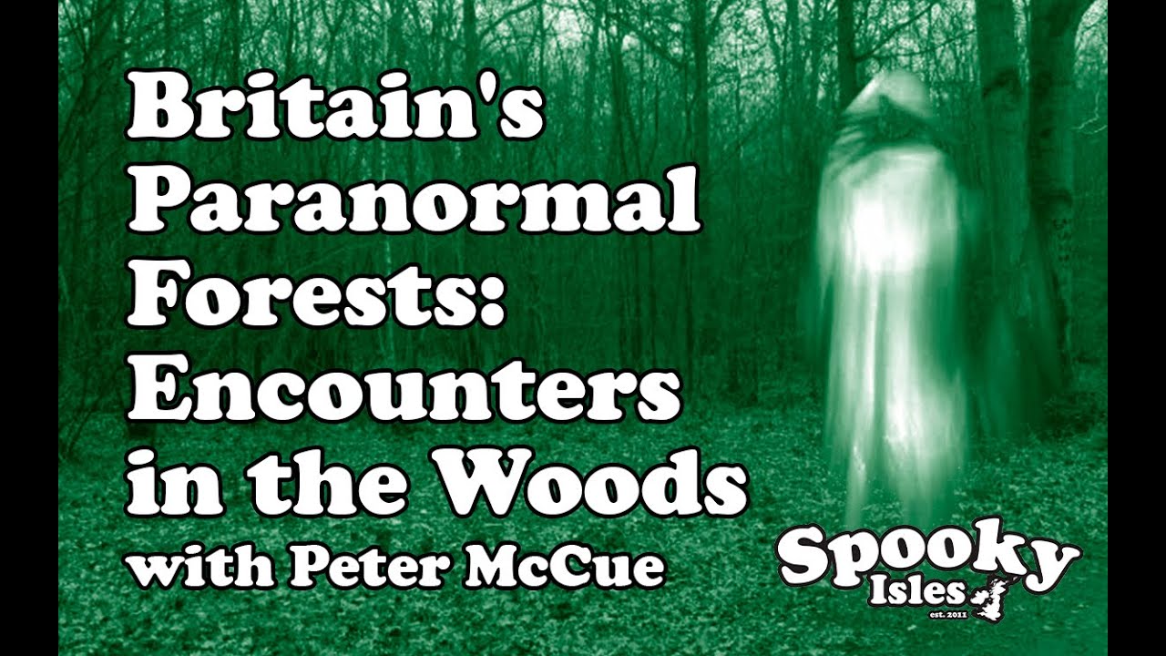 Britain's Paranormal Forests: Encounters in the Woods - Peter McCue ...