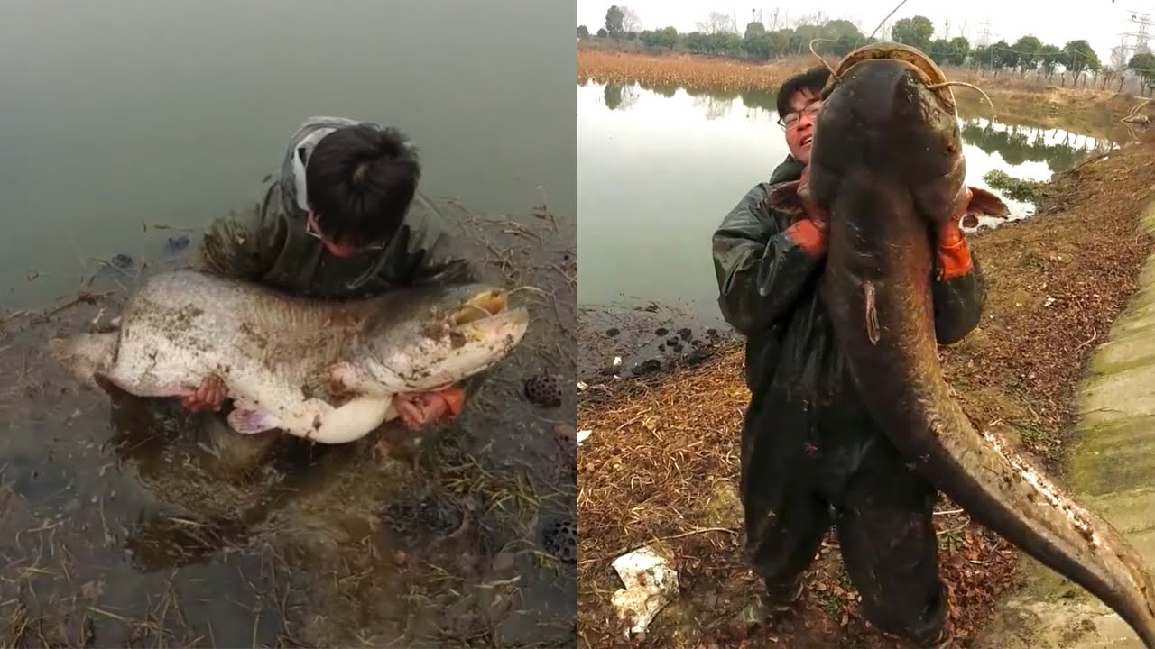 Amazing Big Catch Fishing Skill - Very Big Fish Caught In A Net - YouTube