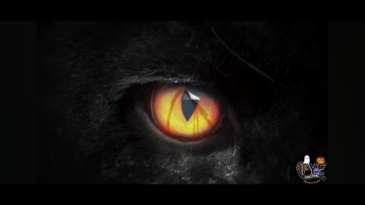 **NEW FOR 2025** I305 REBRAND** Pantherian - On the Prowl in 2025 at ...