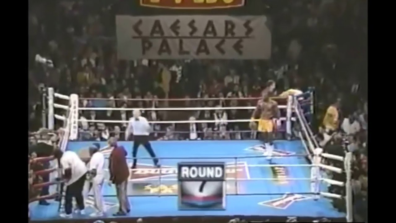 Riddick Bowe vs Evander Holyfield 2 the fan man fight - YouTube