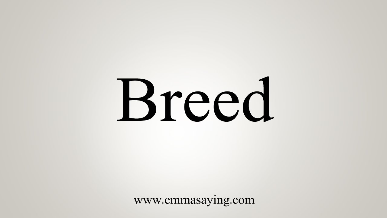 How To Say Breed - YouTube