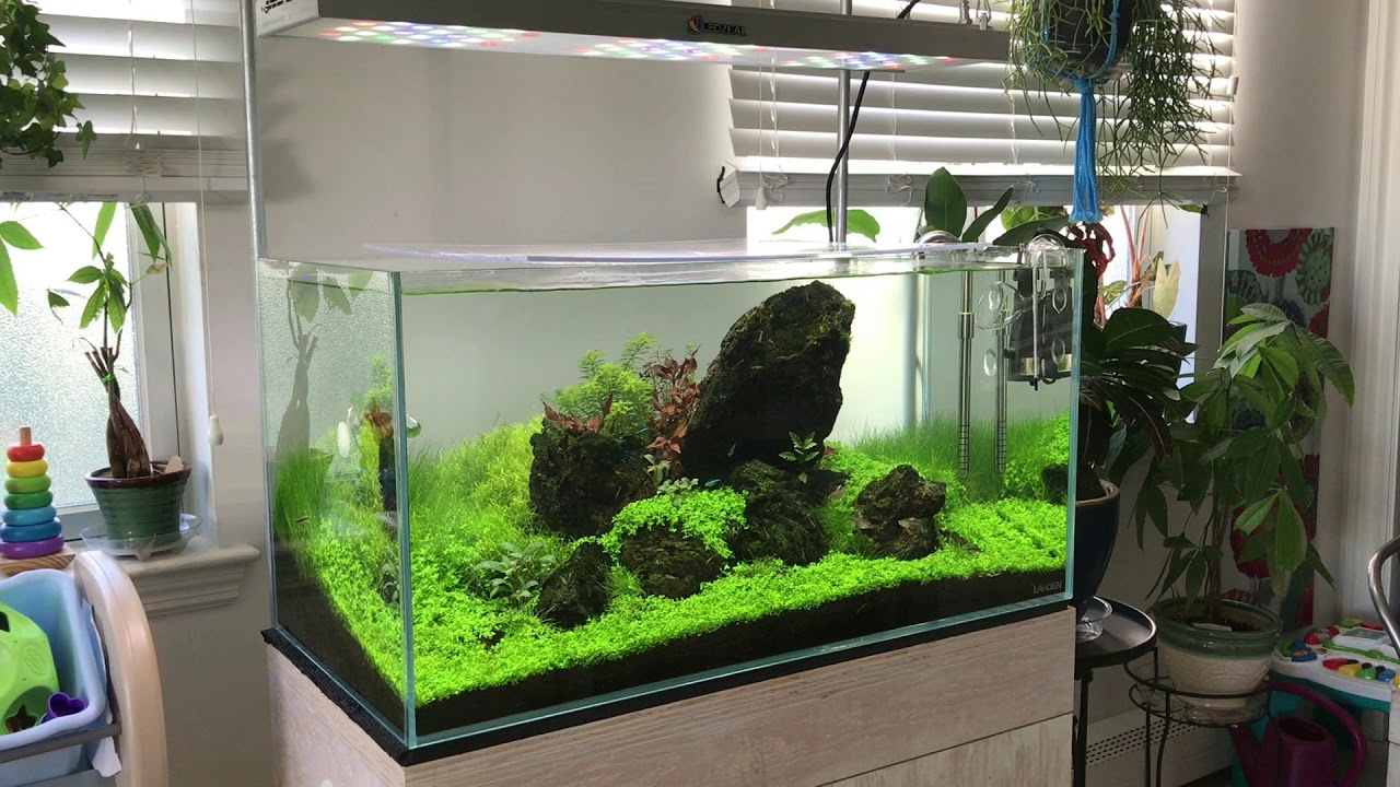 90p Aquascape - Glad To Be Back - YouTube