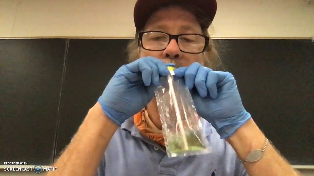 Tap Water Tour Experiment for Physical Geography Lab - YouTube