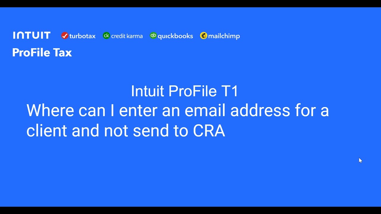 Entering a taxpayer email address in Intuit ProFile - YouTube