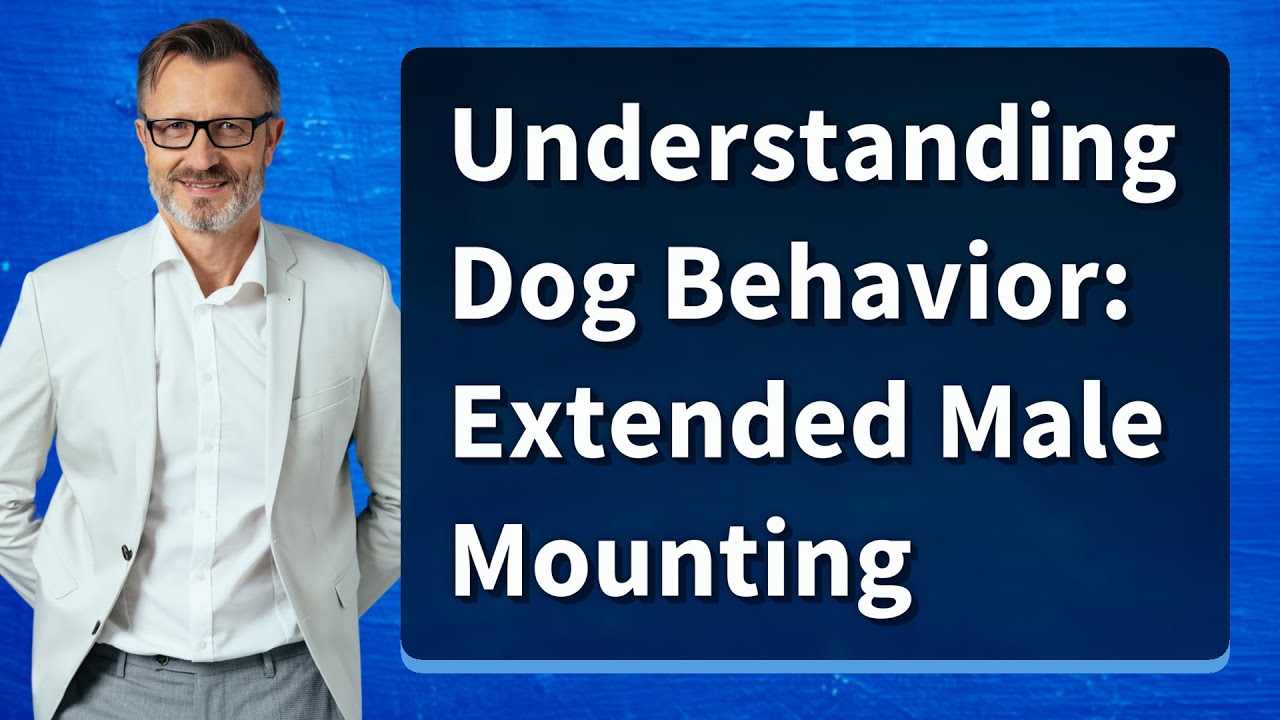 Understanding Dog Behavior: Extended Male Mounting - YouTube