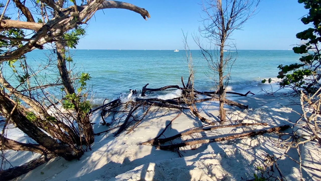 A Morning Walk at the Beach In Area 5 at Delnor-Wiggins Pass State Park ...