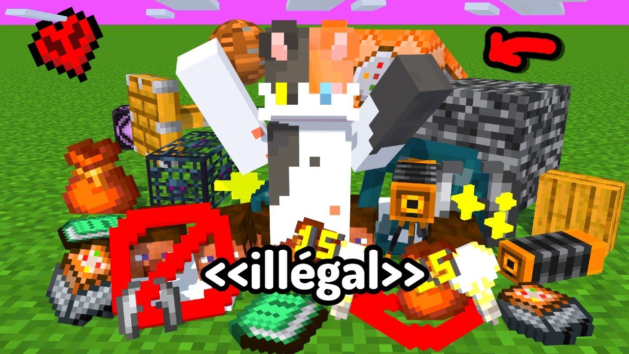 J'ai Obtenue les Blocks les plus ILLÉGAUX sur Minecraft Hardcore! - YouTube