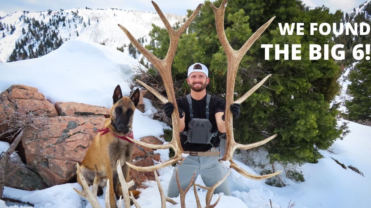 BIG SIX POINT FRESH ELK SHEDS! - YouTube