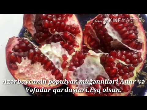 Azərbaycanin populyar müğənniləri Anar və Vəfadar qardaşlari.(Nar mahnisi.)İlk dəfə səslənir.