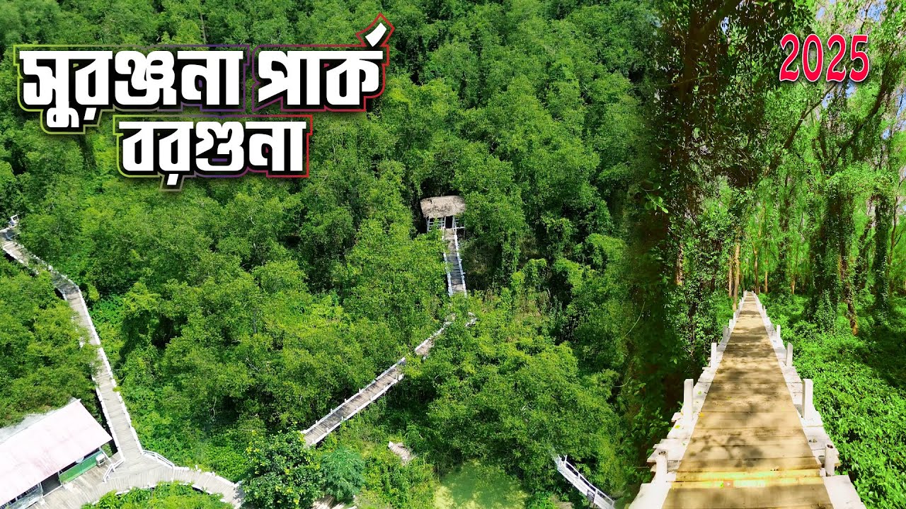 সুরঞ্জনা ইকো পার্ক বরগুনা । Suronjona Park Barguna | Natural Of ...