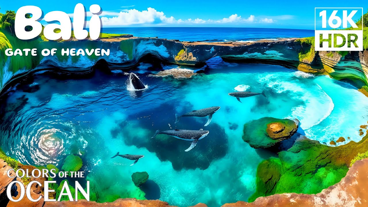 Bali 8K HDR Ultra HD | Heavenly Tropical Paradise & Scenic Island Bliss ...