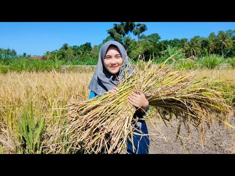 NENG WULAN JANDA CANTIK SERIUS MAU KAWIN BOSAN HIDUP SENDIRI..??