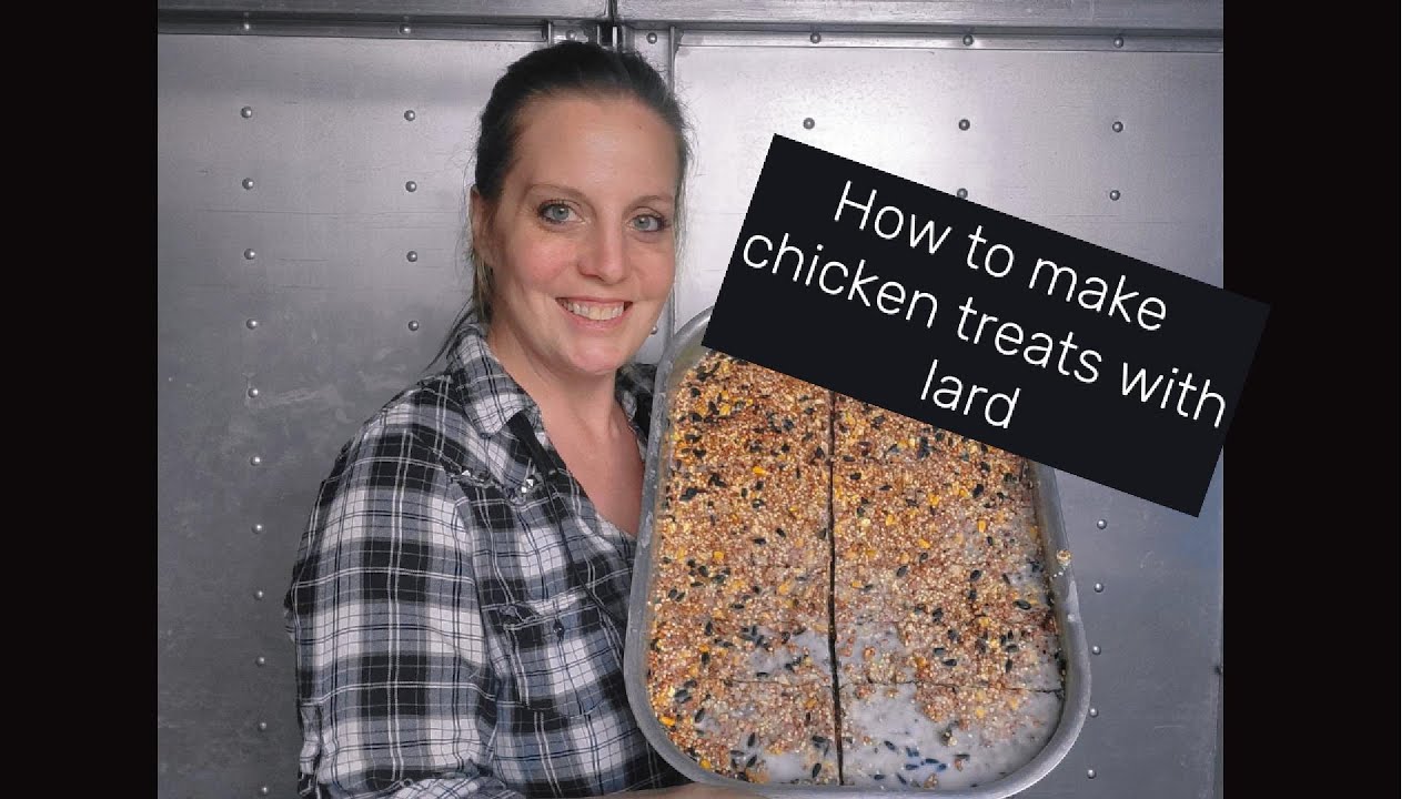 How To Make Your Own Chicken Treats With Excess Lard - YouTube