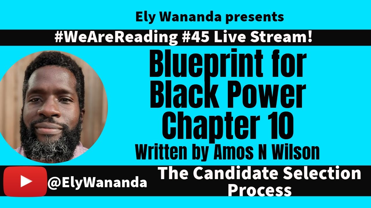 Blueprint For Black Power Chapter 10 (The Candidate Selection Process ...