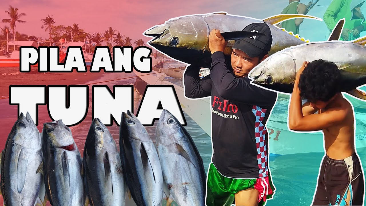 NAKAPILA ANG TUNA SA OCCIDENTAL MINDORO... ONE (1) NIGHT TUNA FISHING ...