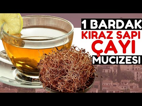 Günde 1 Bardak Kiraz Sapı Çayı  Vücudunuza Bunları Yapıyor | Kiraz Sapı Çyının Faydaları Nelerdir?