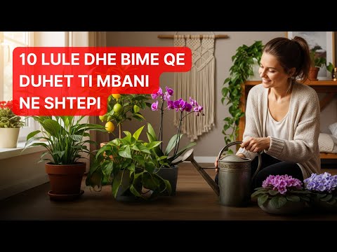 10 Lulet & Bimet qe Duhet ti Mbani ne Shtepi