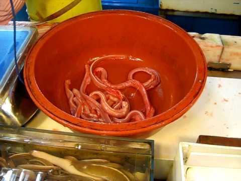 Wriggling Eel - YouTube