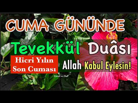 Cuma Duası | Allah’ım! İçimizdeki rızık endişesini ve çaresizlik hissini gider. Amin!