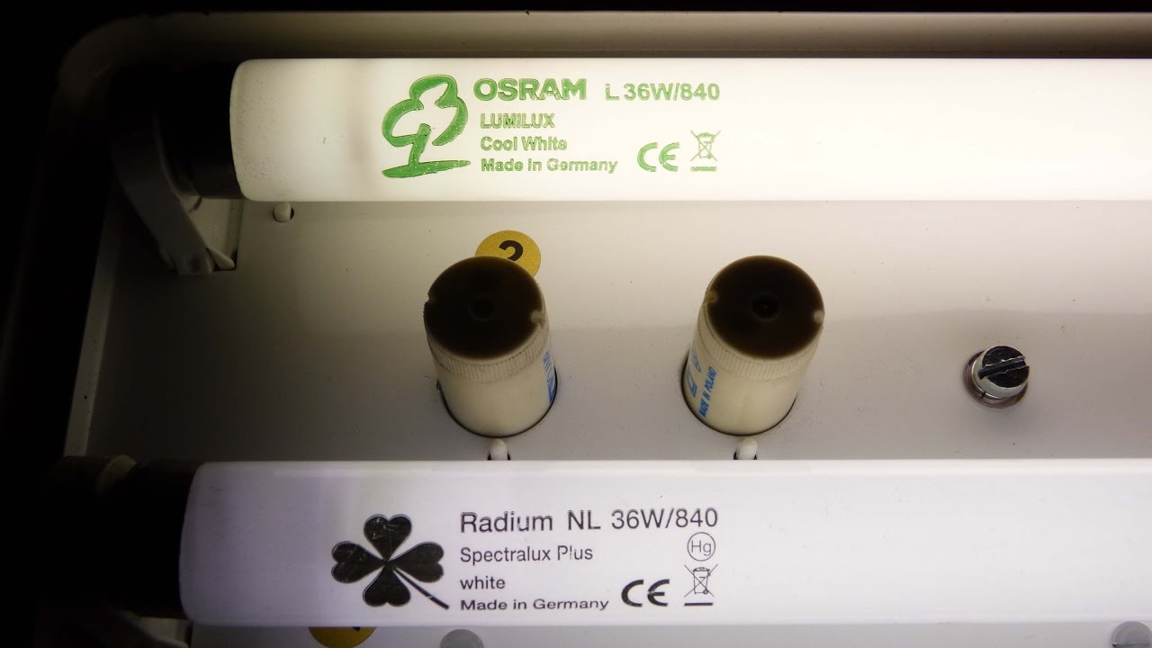 Osram Radium - fluorescent tubes T8 36W - YouTube