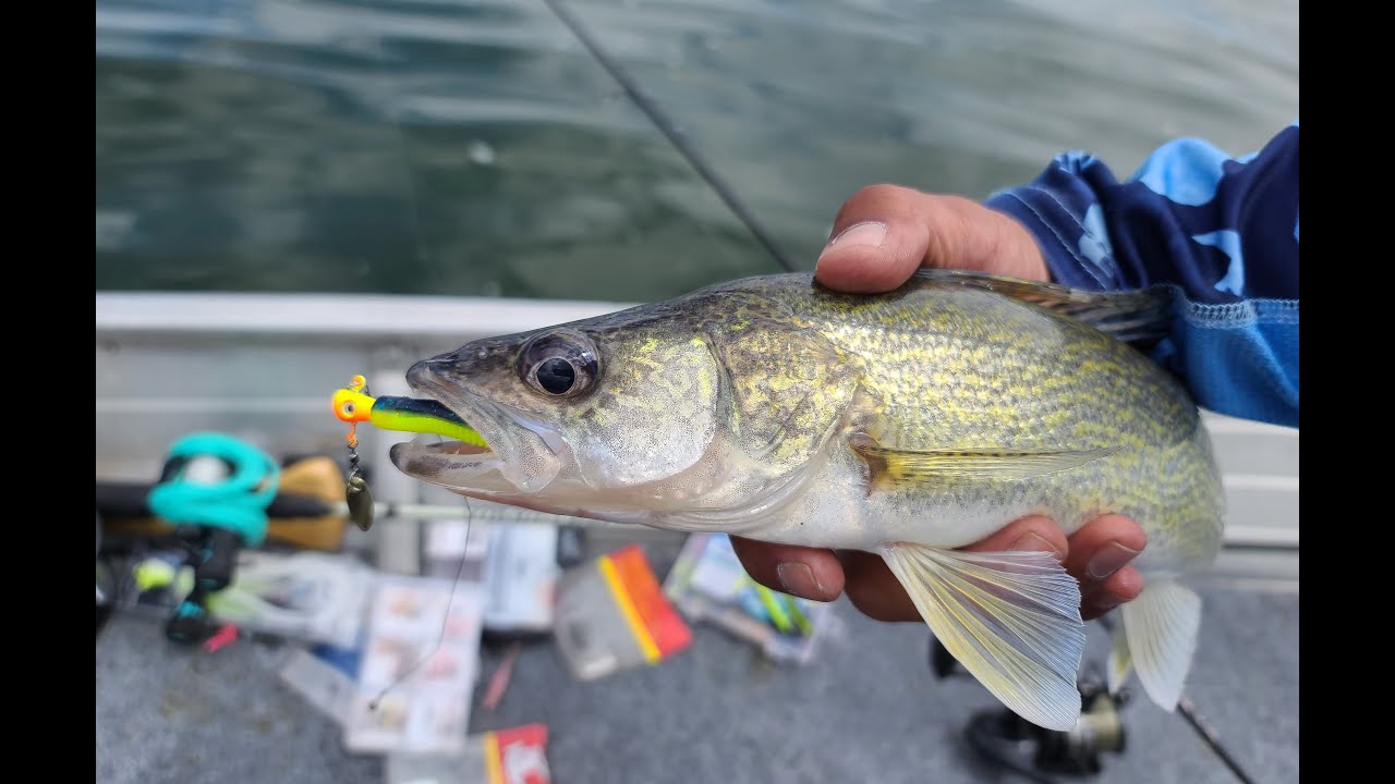 Cherry Creek State Park Walleye Fishing - YouTube