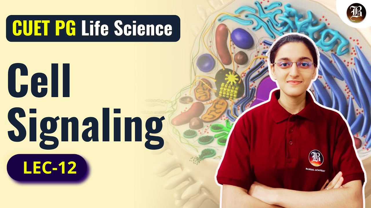 CUET PG Life Science 2025 : Cell Signaling Ras MAP Pathway | Lecture 12 ...
