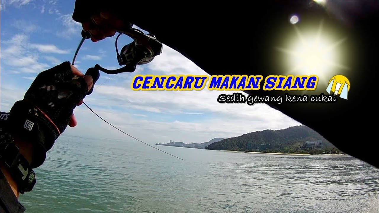 Memancing cencaru guna apollo. - YouTube