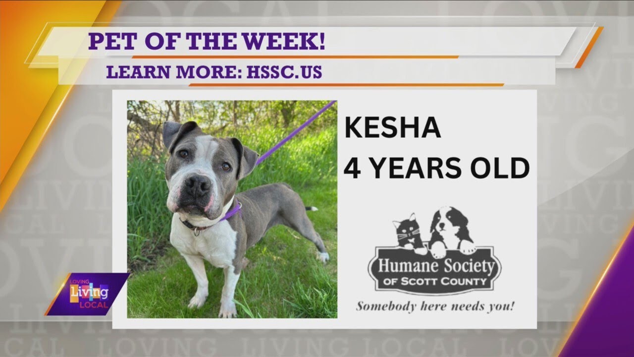 Pet of the Week | Kesha - YouTube