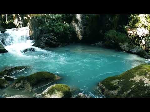 Awesome Forest River View