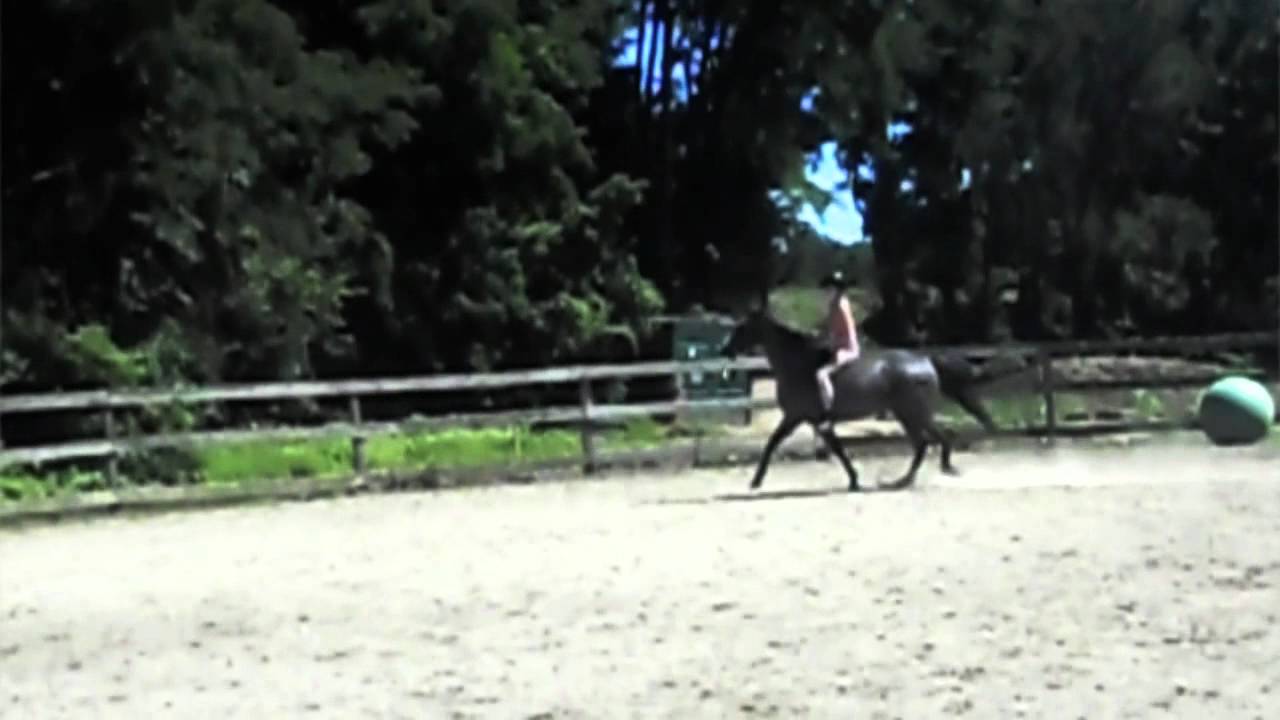 How To Ride Bareback - YouTube