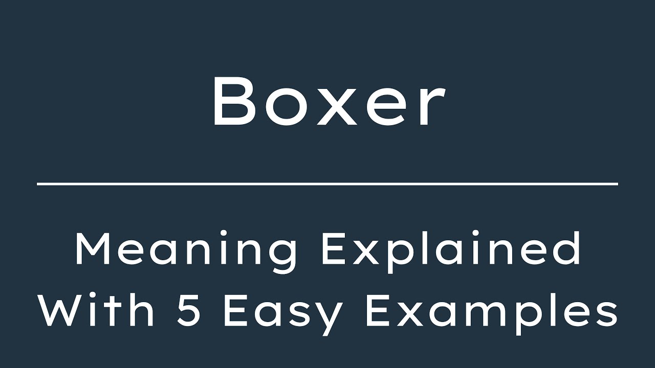 Boxer Meaning in English With 5 Example Sentences, Boxer Meaning in ...