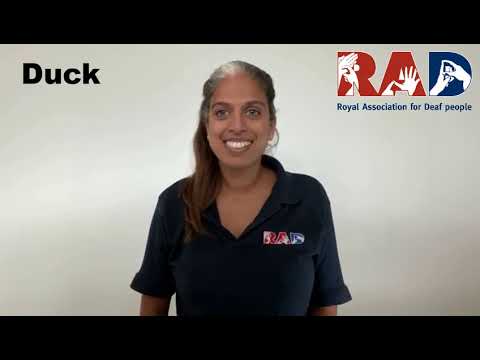 Learn to sign BSL: Duck - YouTube