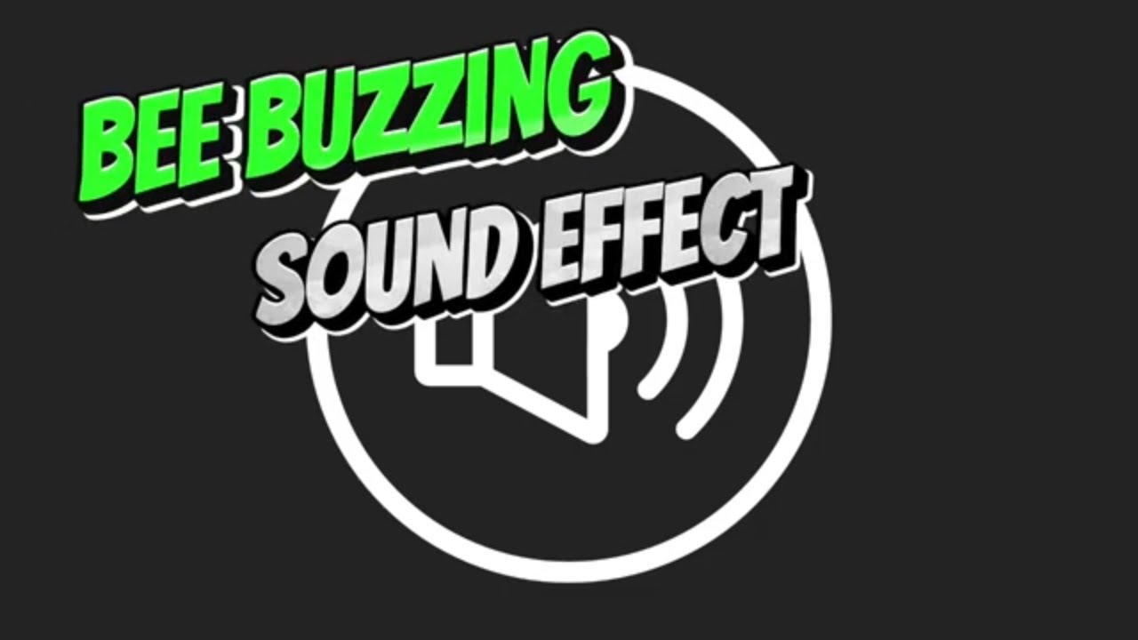 Bee Buzzing Sound Effect HD | Free download - YouTube