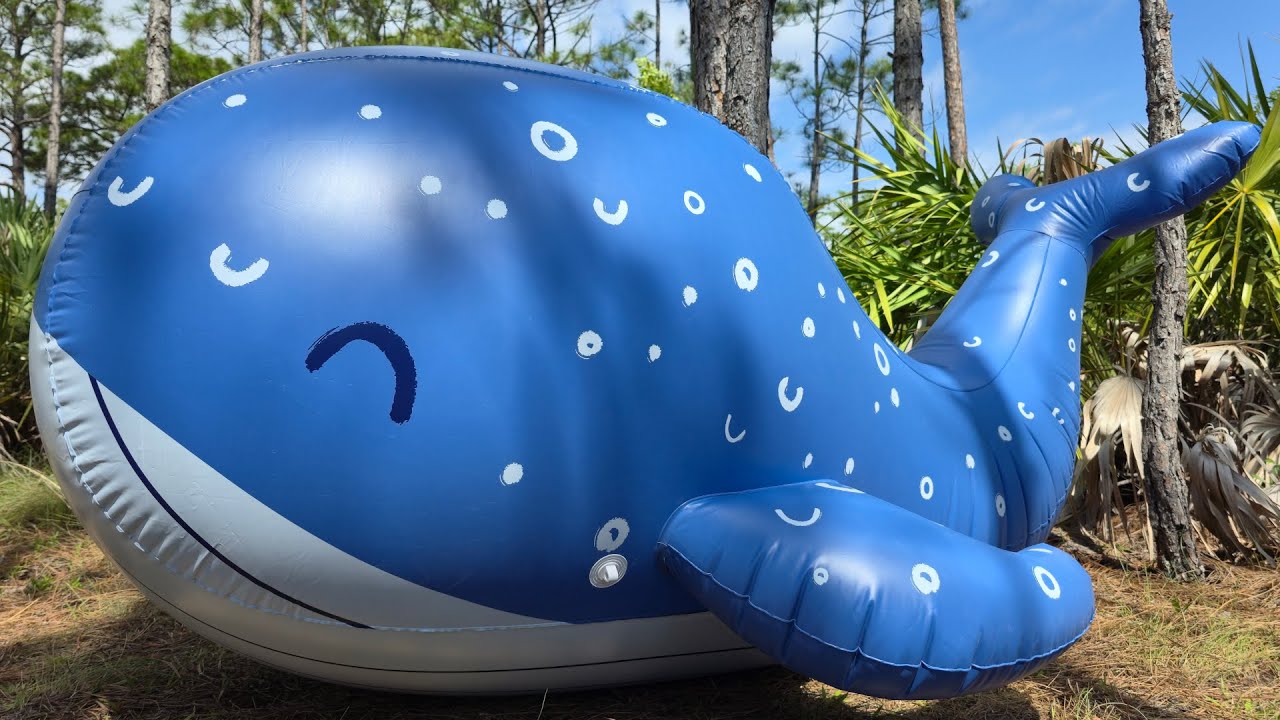 Giant 7-Foot Inflatable Whale Sprinkler from Target - YouTube
