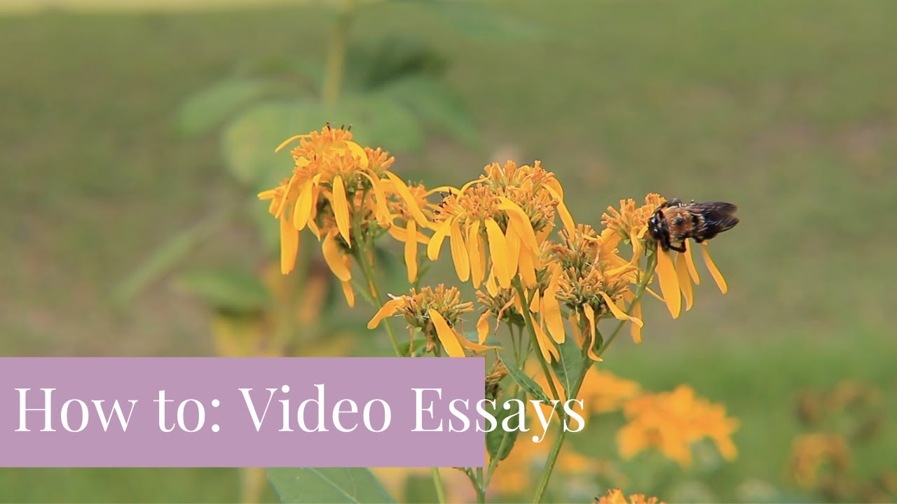 How to: Video Essays - YouTube