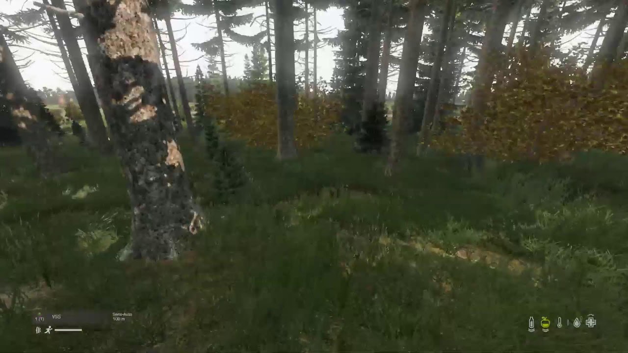 Dayz hunting nbc gear ps5 (dreamer) 😉😊🪖👀 - YouTube